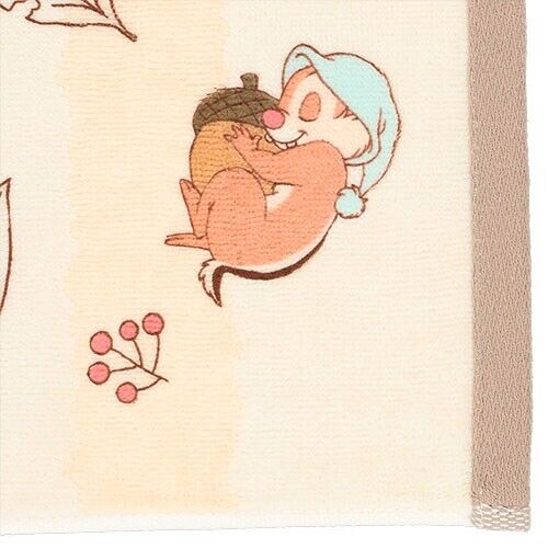 Pre-Order Tokyo Disney Resort 2024 Chip & Dale Sleeping Face Towel ...